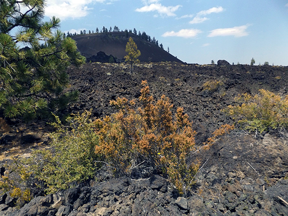 Armchair photo tours: Trail of the Moulten Land at Newberry National ...