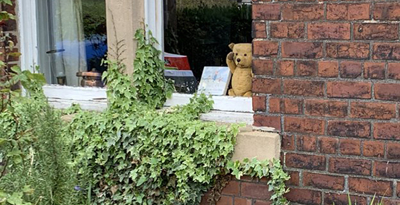 Bear hunts unite neighborhoods during COVID-19 pandemic | Tabby Cat's ...