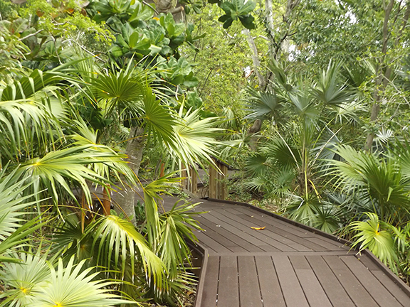 Armchair photo tours: Key West Tropical Forest & Botanical Garden ...