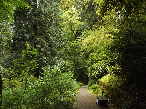 Forest bathing walks at the Leach Botanical Garden in Portland | Tabby ...