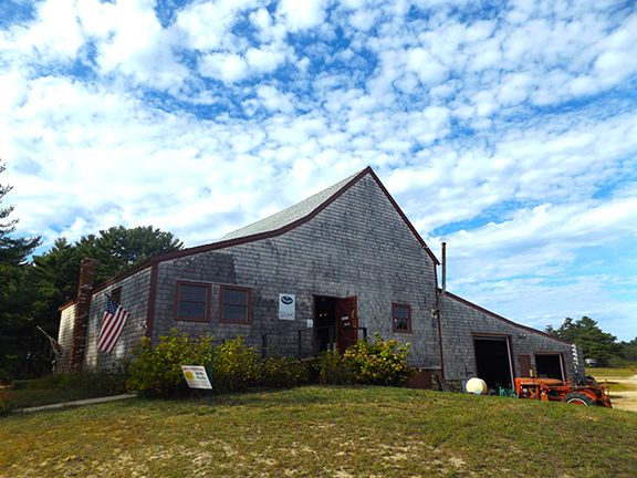 Armchair photo tours: Flax Pond Farms | Tabby Cat's Pawprints