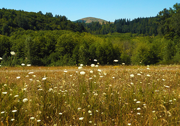 Armchair photo tours: The Sediment Retention Structure at Mount St ...