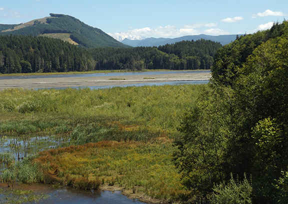 Armchair photo tours: The Sediment Retention Structure at Mount St ...