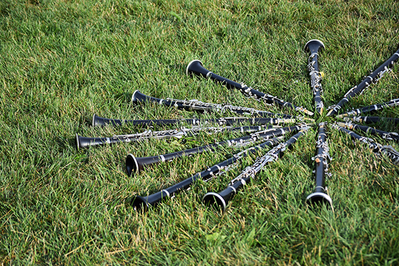 Mostly Music in the Park returns to Mercer Island, Washington | Tabby ...