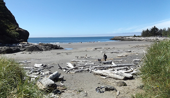 Waikiki Beach summer concerts return to Cape Disappointment State Park ...